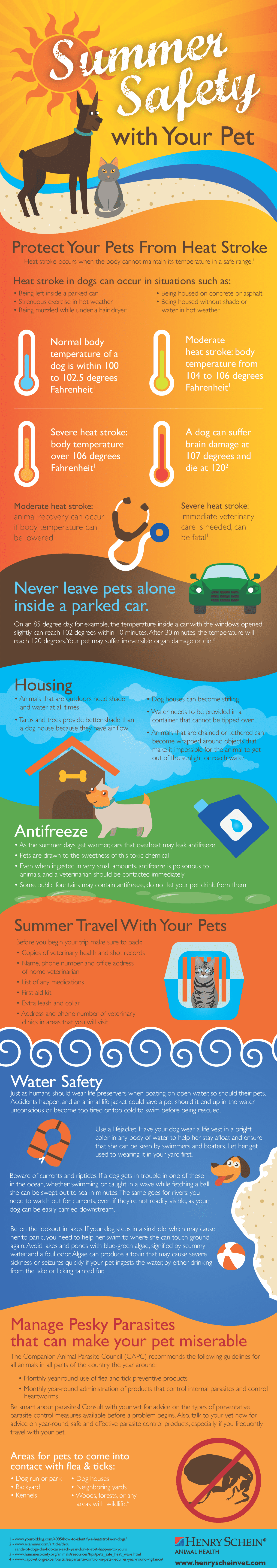 Summer Safety Tips | Petcetera Animal Clinic