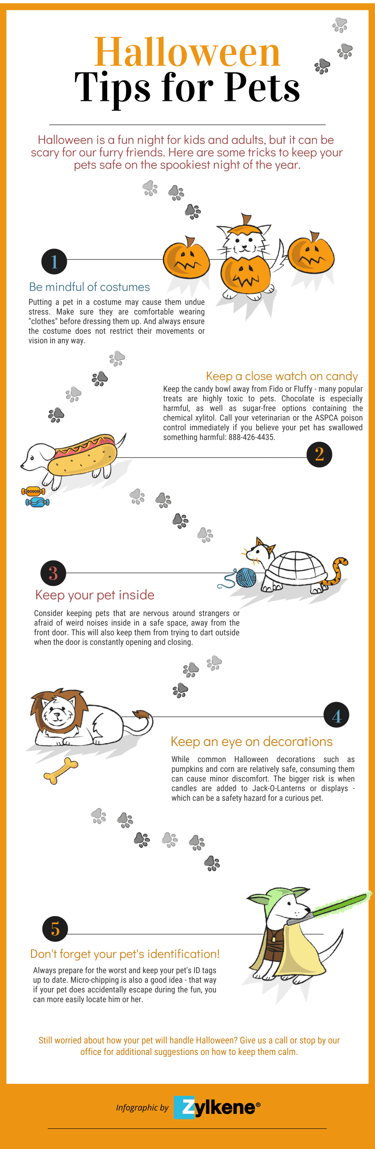 Helpful Halloween Safety Tips | Petcetera Animal Clinic
